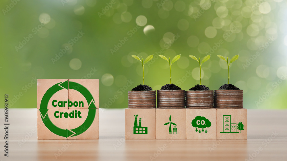 Carbon credit and Carbon neutral balancing CO2 emission offset concept ...