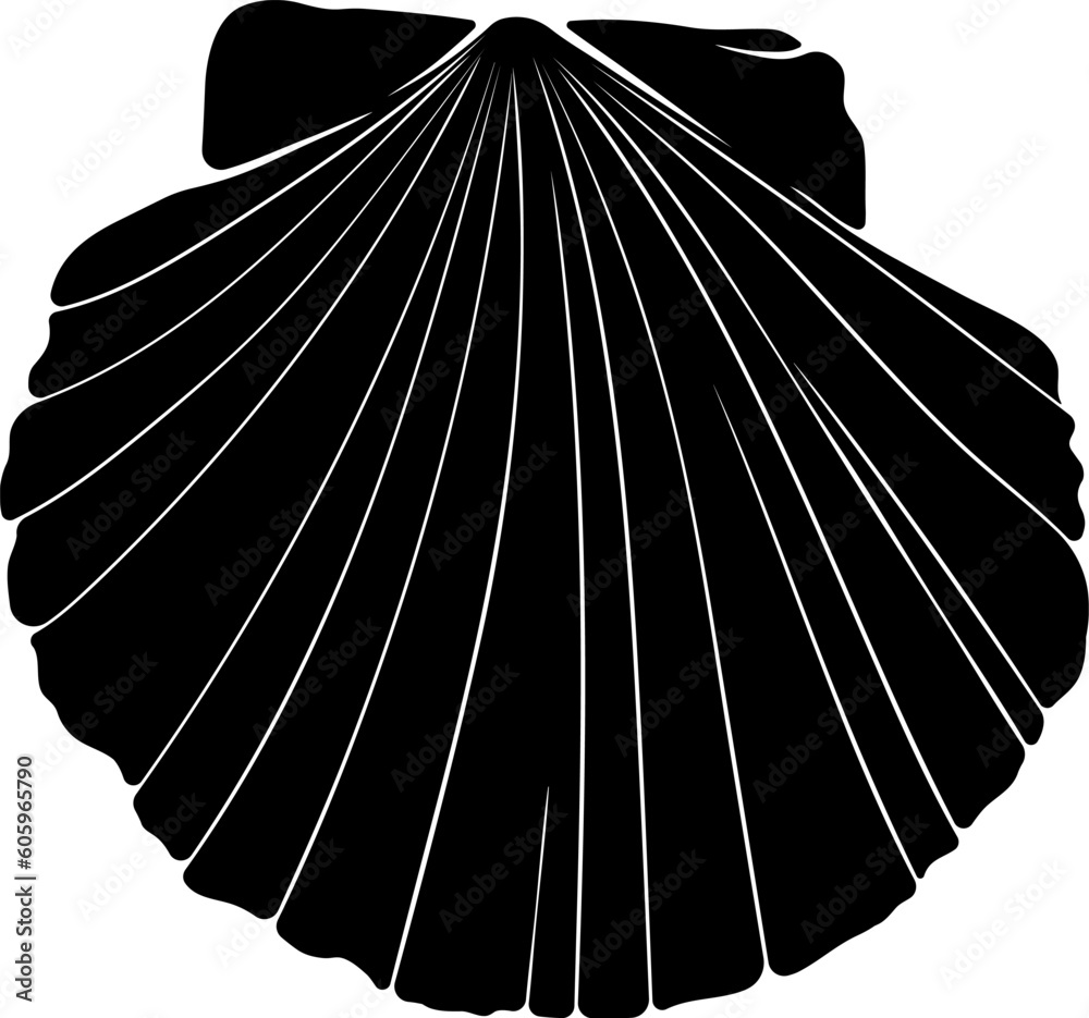 Scallop shell top view silhouette. Black vector hand drawn illustration ...