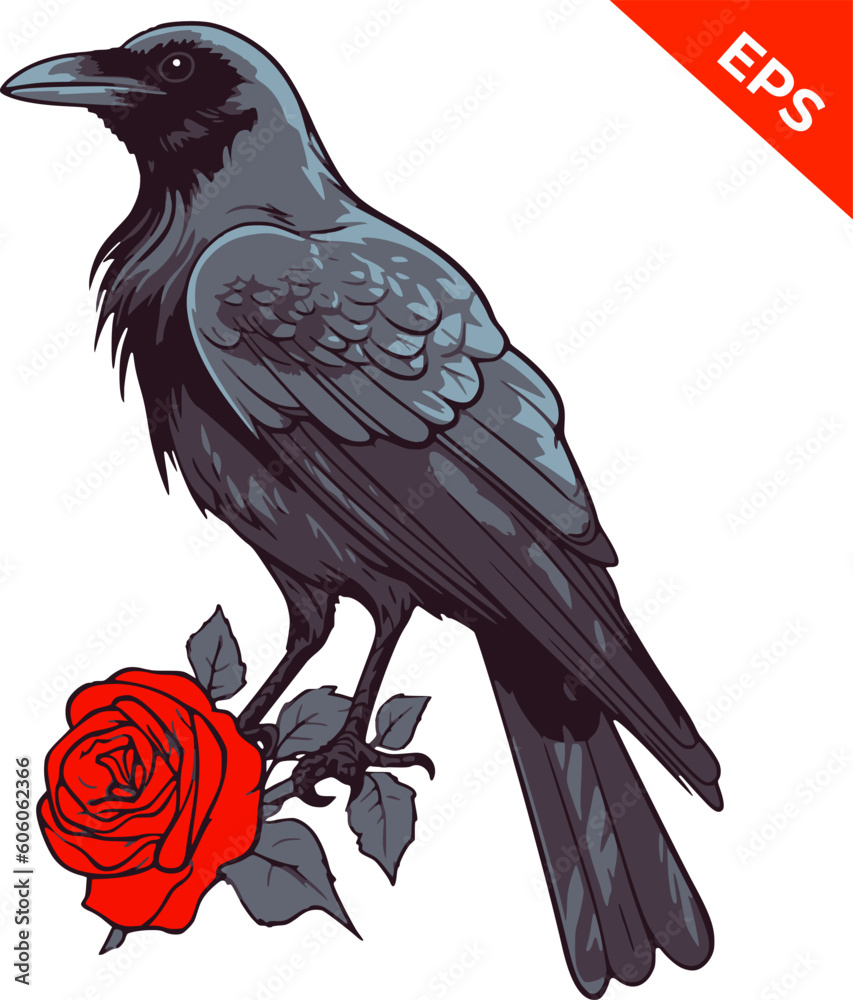 Black raven and red rose, classic tattoo, graphic image of a raven for ...