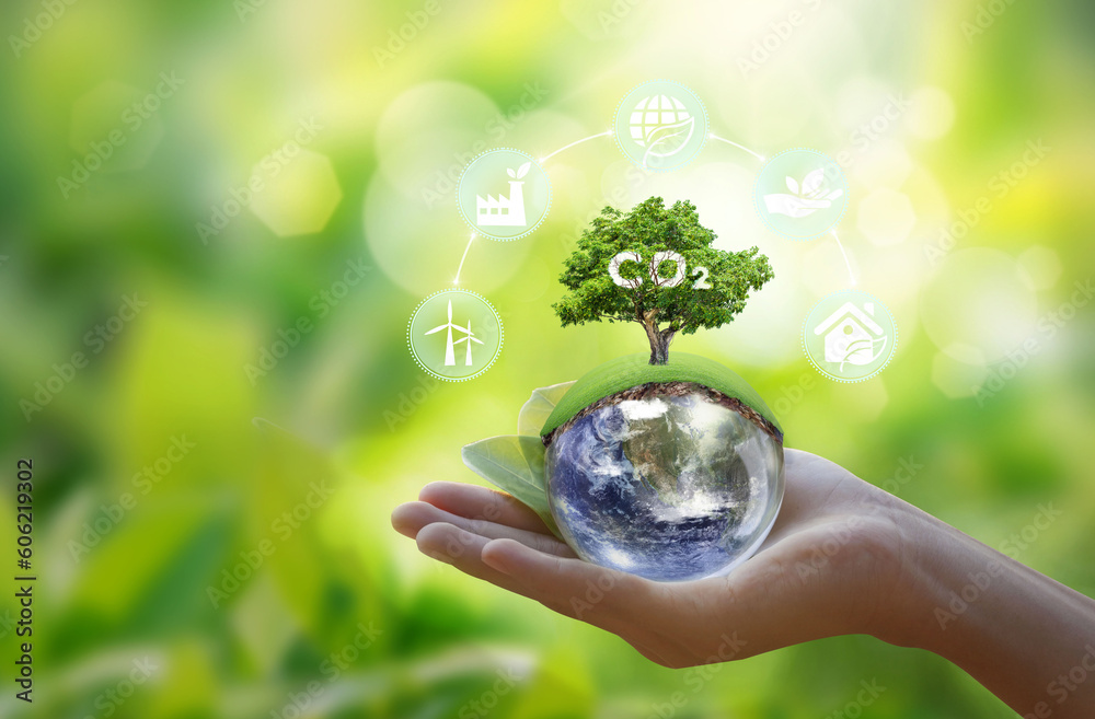 Renewable energy-based green businesses can limit climate change and ...