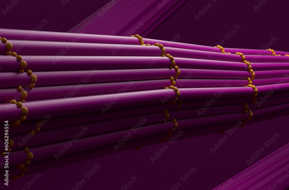 Skeletal muscle tissue in the human body - 3d illustration closeup view ...