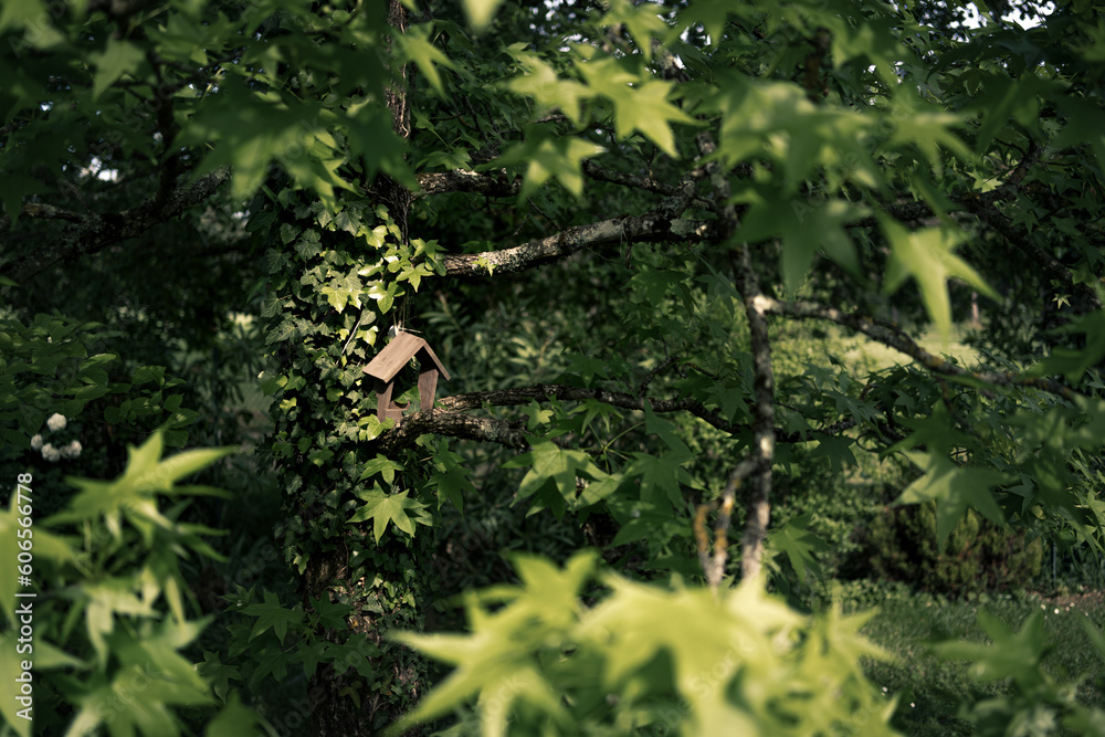 nice handmade wooden nesting box in a tree in spring. beautiful green ...