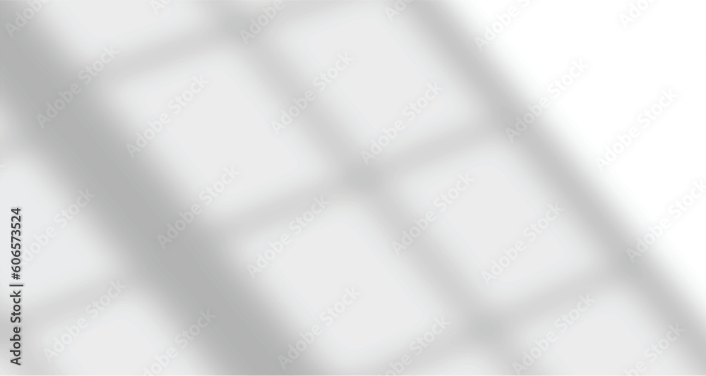 Realistic blurred natural light leaves, palm and window shadow overlay ...