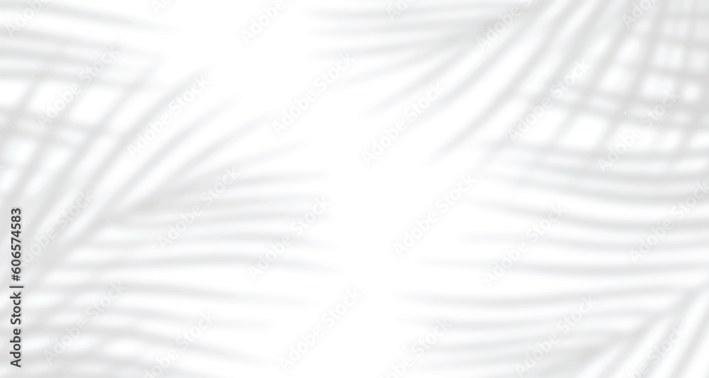 Realistic blurred natural light leaves, palm and window shadow overlay ...