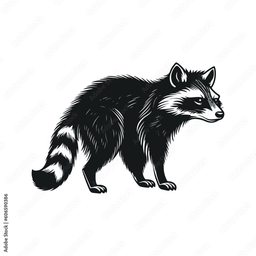 black racoon vector logo - black and white . Abstract drawing Vector ...