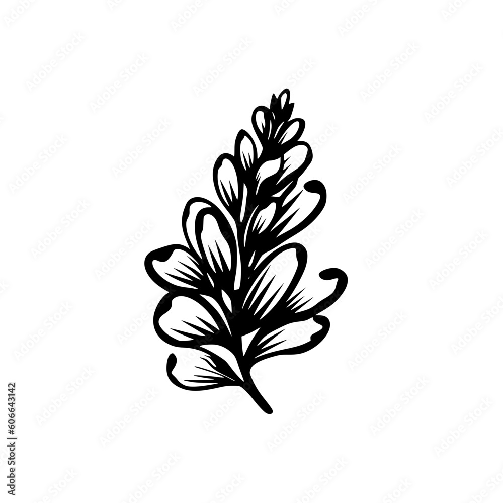 Wisteria flower vector illustration isolated on transparent background ...