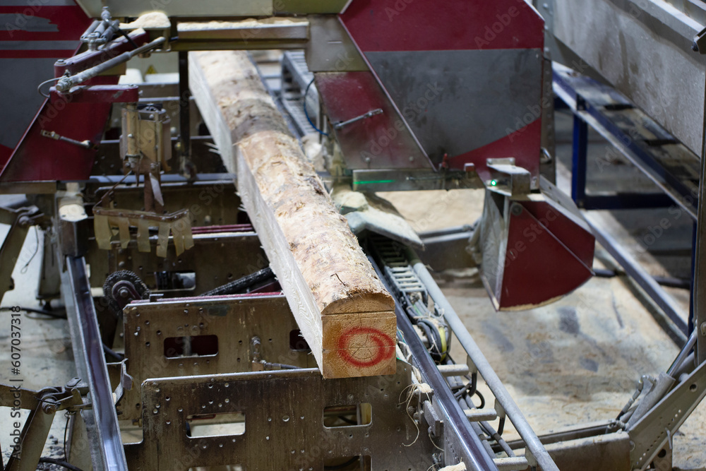 Industrial plant sawmill - production of wooden boards with modern ...
