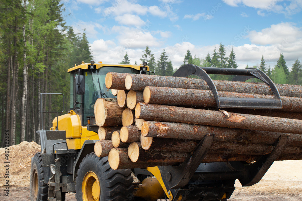 Loading logs with a special loader.Timber products warehouse on a ...