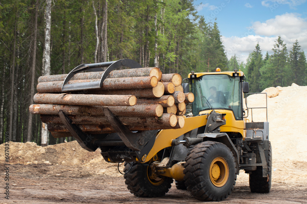 Loading logs with a special loader.Timber products warehouse on a ...