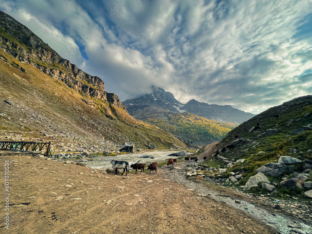 Shounter Lake is scenic lake located in Shounter Valley, sub valley of ...