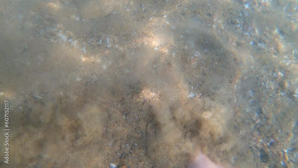 Woman standing barefoot on sand underwater and digging her feet into sand. Woman digging her ...