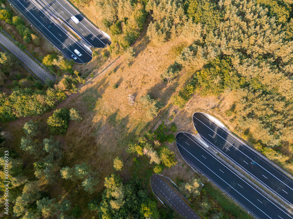 This aerial drone photo shows a wildlife ecoduct in the Netherlands ...