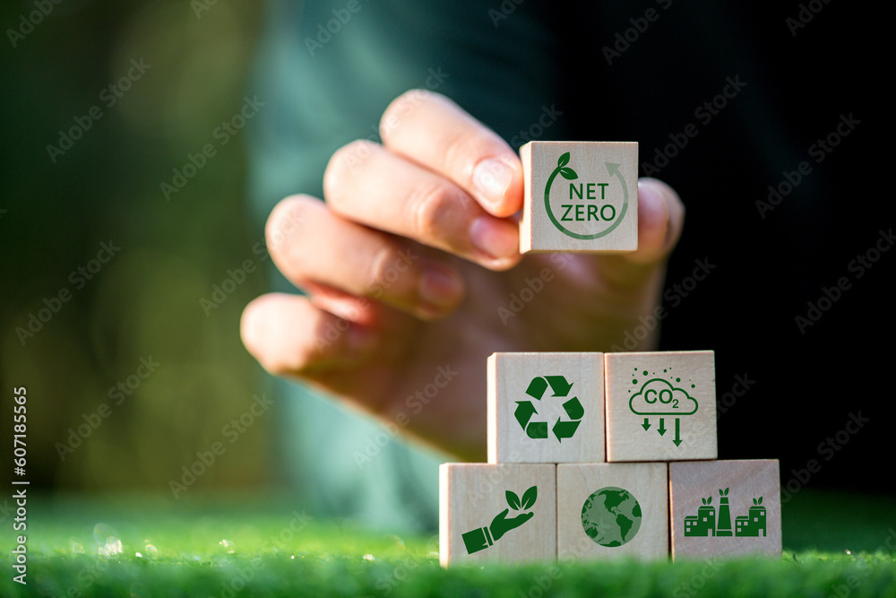 Companies are targeting net zero greenhouse gas emissions. Carbon ...