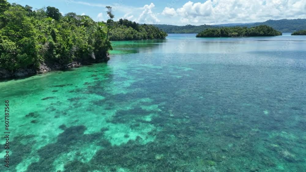 Shallow coral reefs fringe remote islands off the scenic coast of West ...