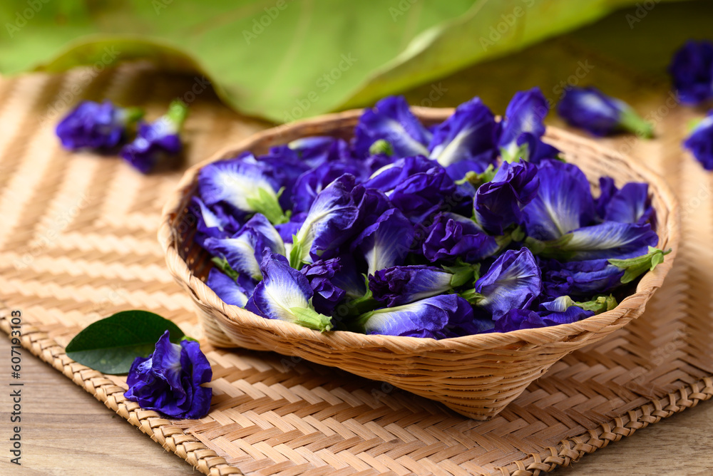 Blue butterfly pea flowers, Natural food coloring in Southeast Asian ...