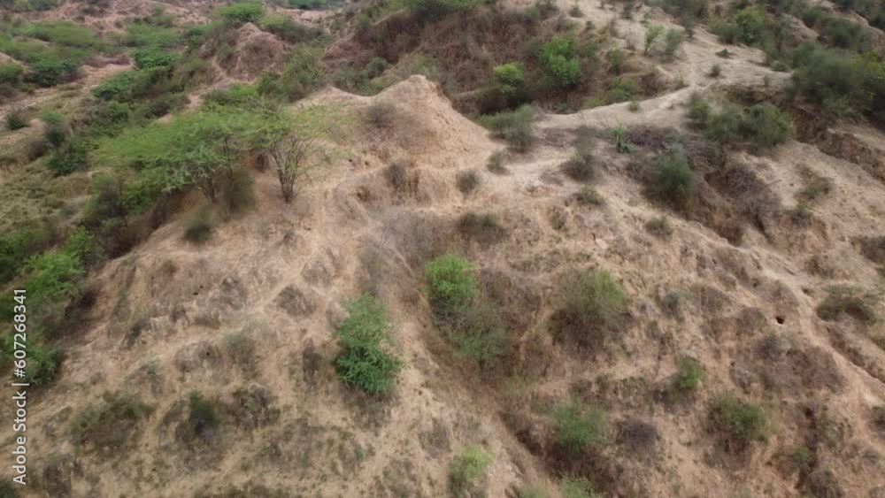 Unique gully erosions of the iconic badlands of Chambal ravines next to ...