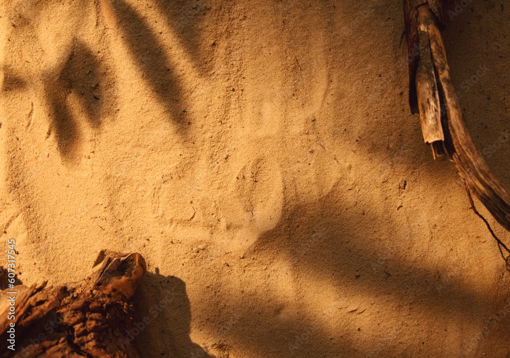 Nature showcase. Sand arrangement. Product placement. Brown dry tree ...