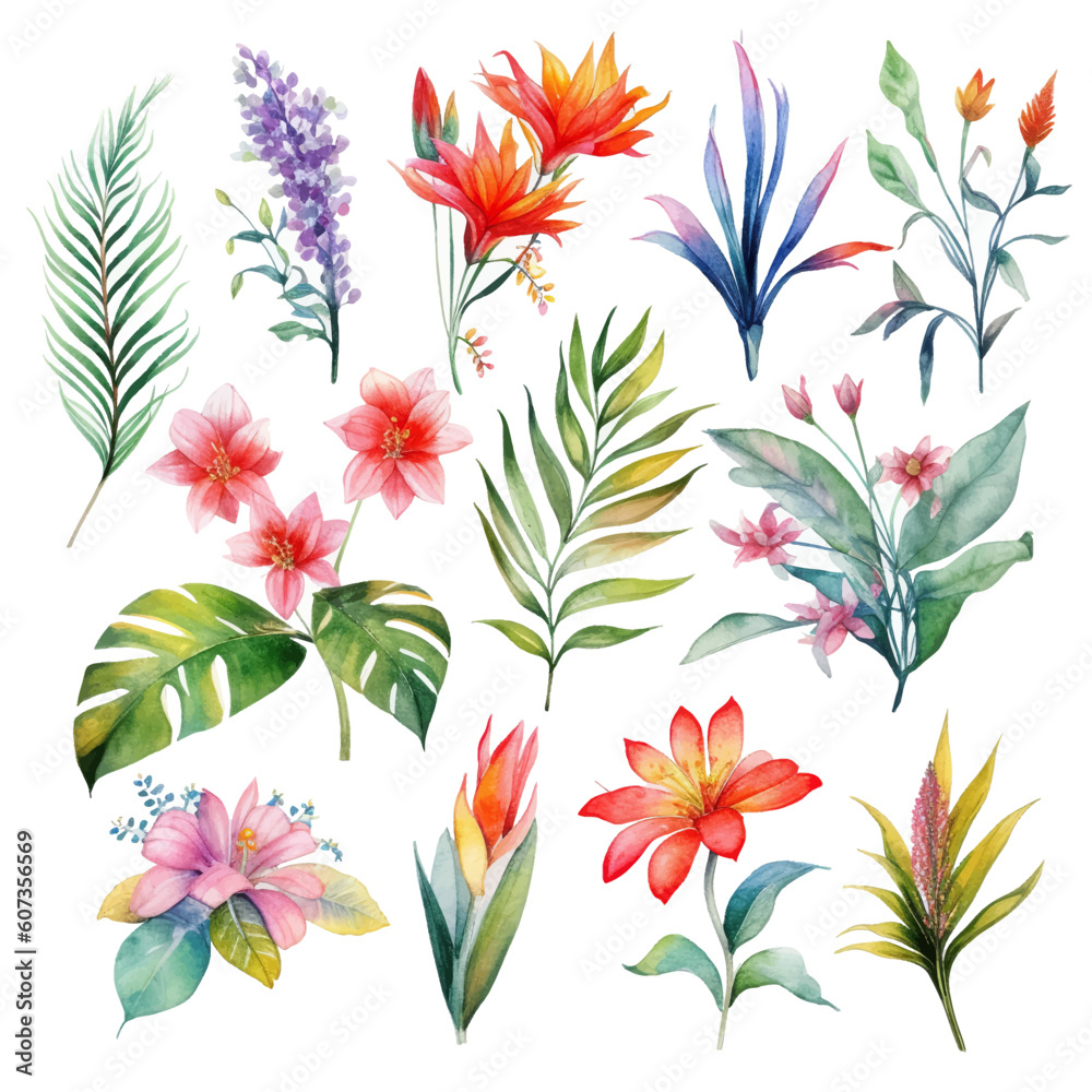 Set of tropical floral watecolor. tropical flower, tropical leaves ...