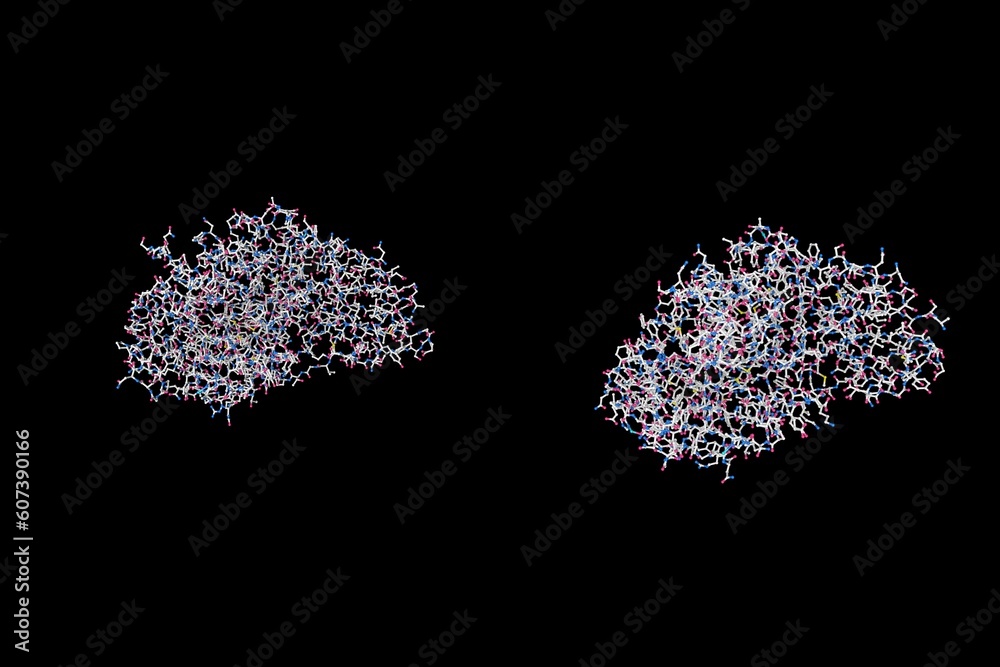Penicillin-binding protein 1A acyl-enzyme complex (biapenem) from ...