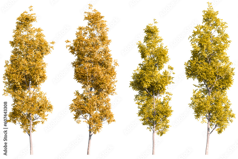 Photorealistic 3D render of trees in autumn on transparent background ...