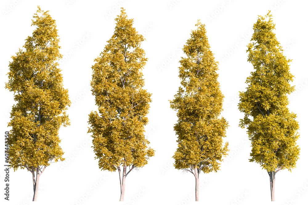 Photorealistic 3D render of trees in autumn on transparent background ...