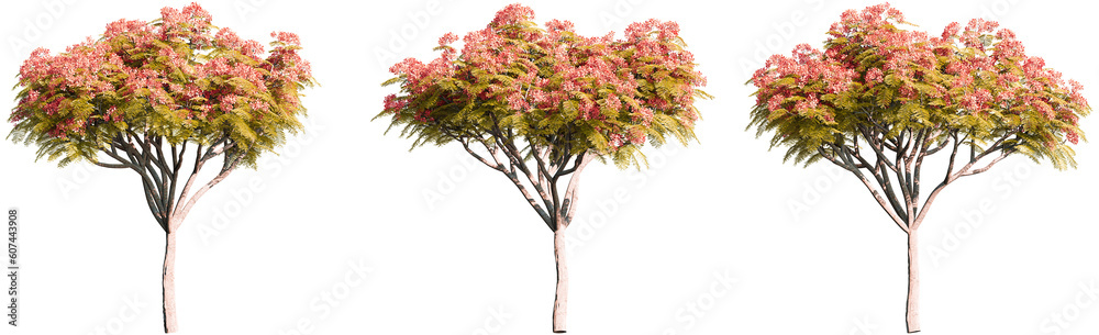 Photorealistic 3D render of trees in autumn on transparent background ...