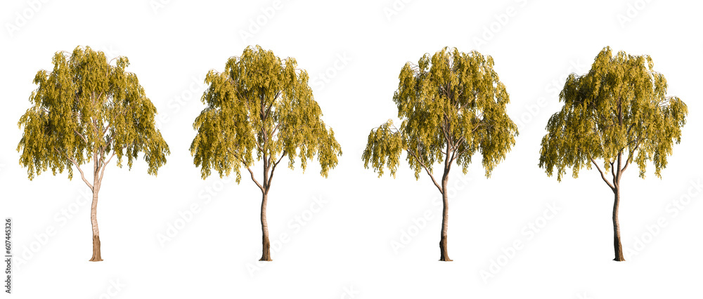 Photorealistic 3D render of trees in autumn on transparent background ...