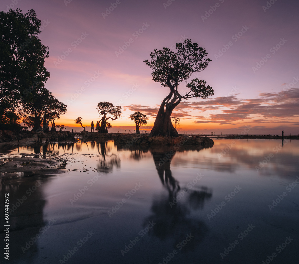 The Mangroves of Walakiri Beach, Sumba Island, Indonesia during sunset ...