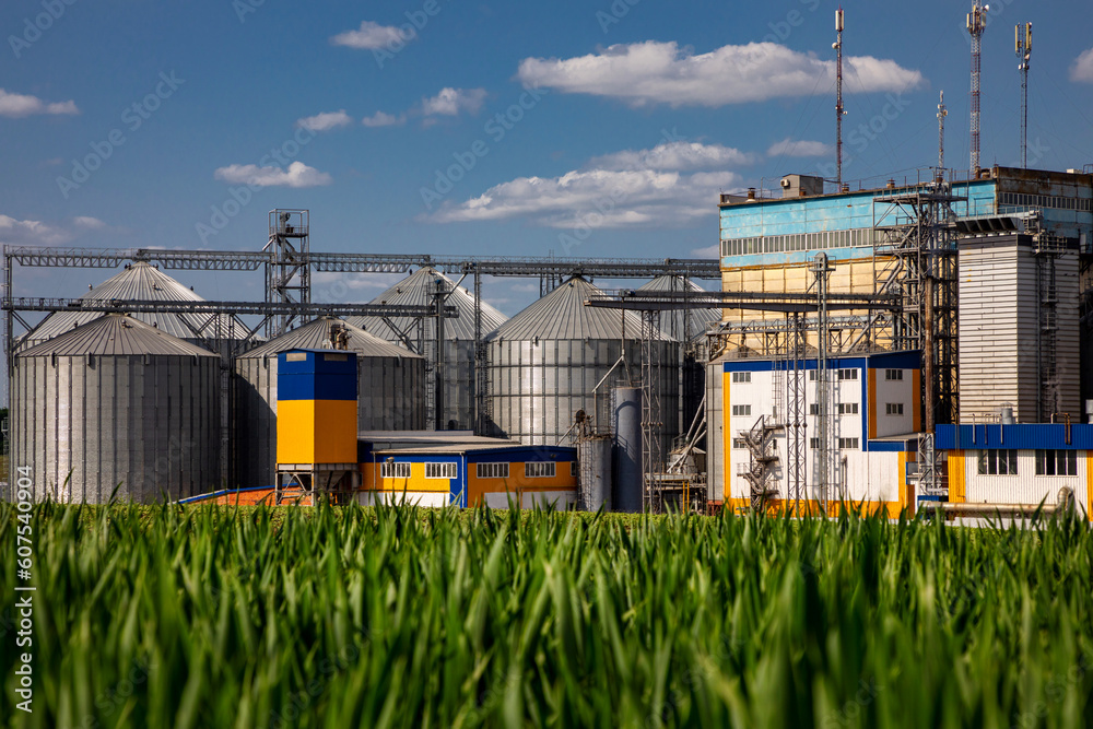 Agricultural Silos on the background of the field. Storage and drying ...