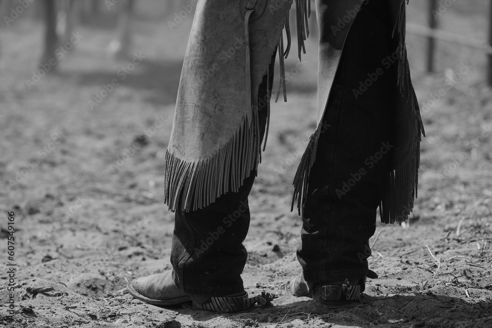 Cowboy in armitas on ranch for western industry in agriculture concept ...