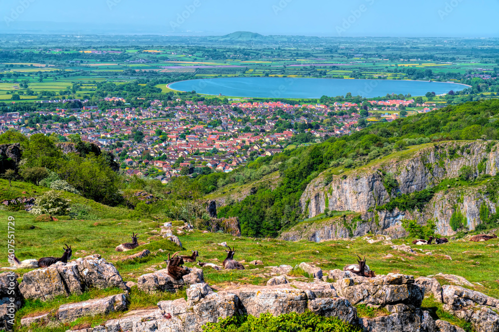 Cheddar Gorge view with wild goats towards Cheddar Reservoir Somerset ...