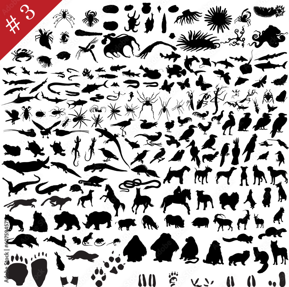 # 3 set of different animals, birds, insects and fishes vector ...