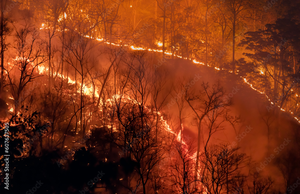 Climate change, Wildfires release carbon dioxide (CO2) emissions and ...