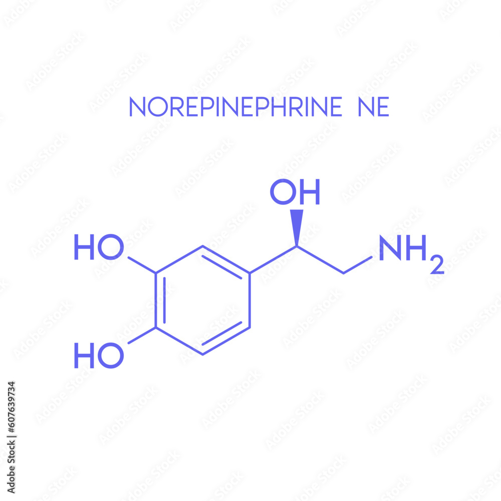 Norepinephrine structural chemical formula isolated on white background ...