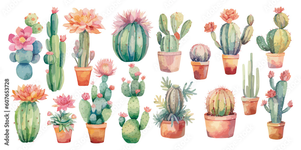 watercolor cactus clipart for graphic resources Stock Vector | Adobe Stock