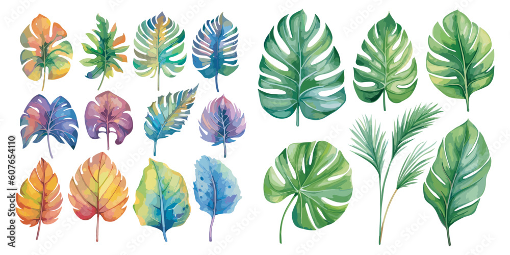 watercolor monstera clipart for graphic resources Stock Vector | Adobe ...