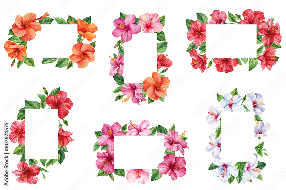 ภาพประกอบสต็อก Hibiscus flowers frames set, isolated background ...