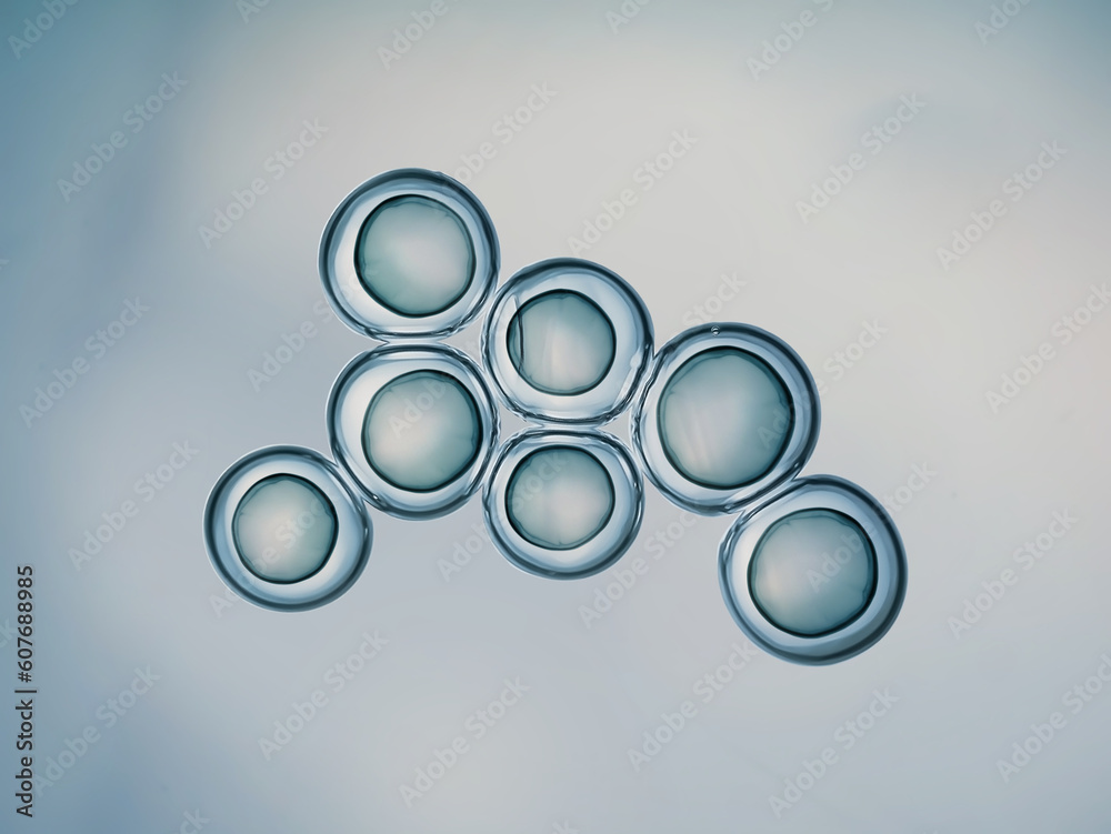 Cells division process, Cell divides into two cells Stock Photo | Adobe ...