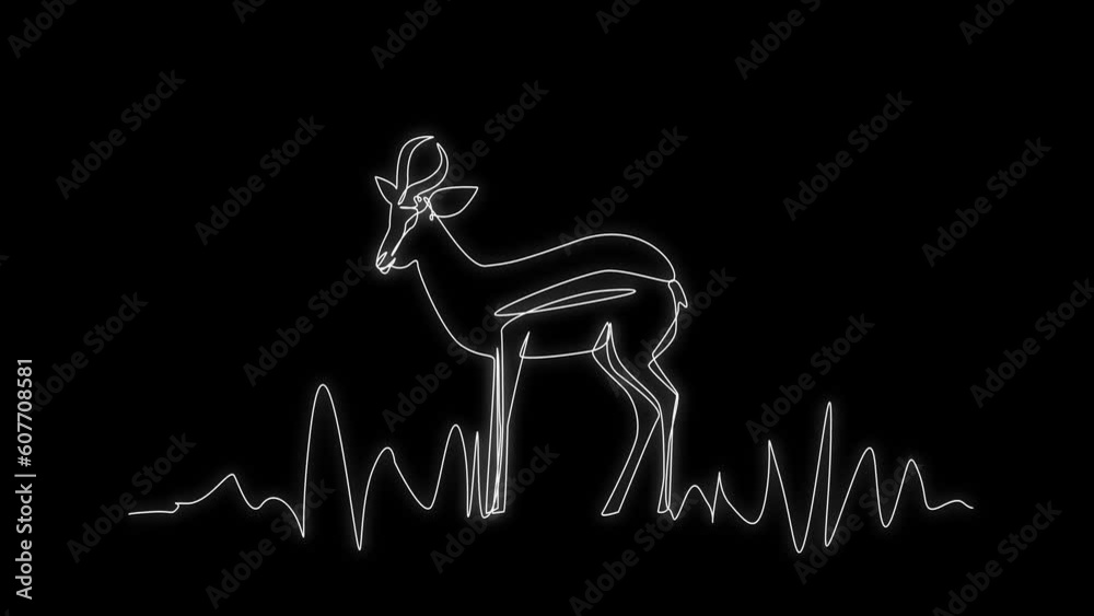 Continuous Thin Line Antelope Animation, Minimal Impala Drawing ...