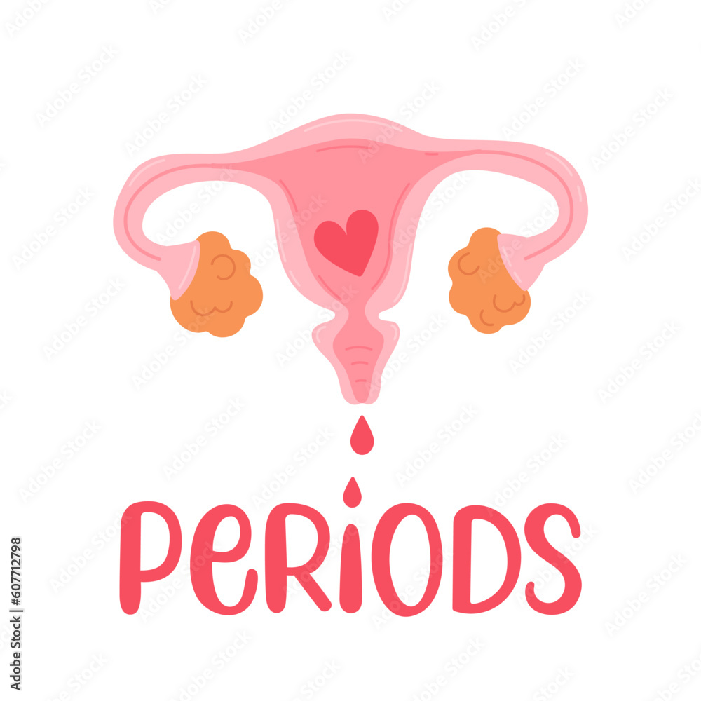 Uterus with ovaries and heart shaped mark of blood to depict periods or ...