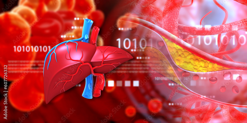 Human liver anatomy on modern scientific background. 3d illustration ...