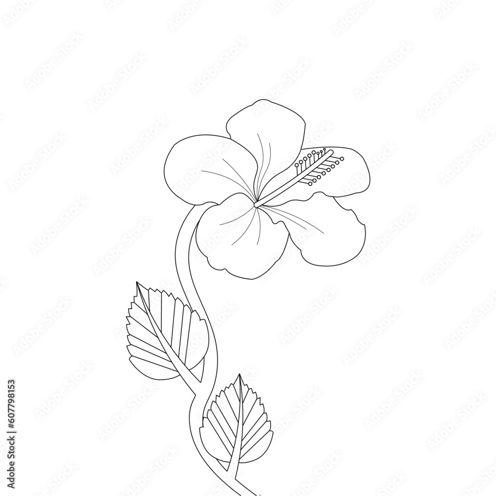 Hibiscus Flower Drawing Coloring Page With Doodle Art Line Art Vector ...