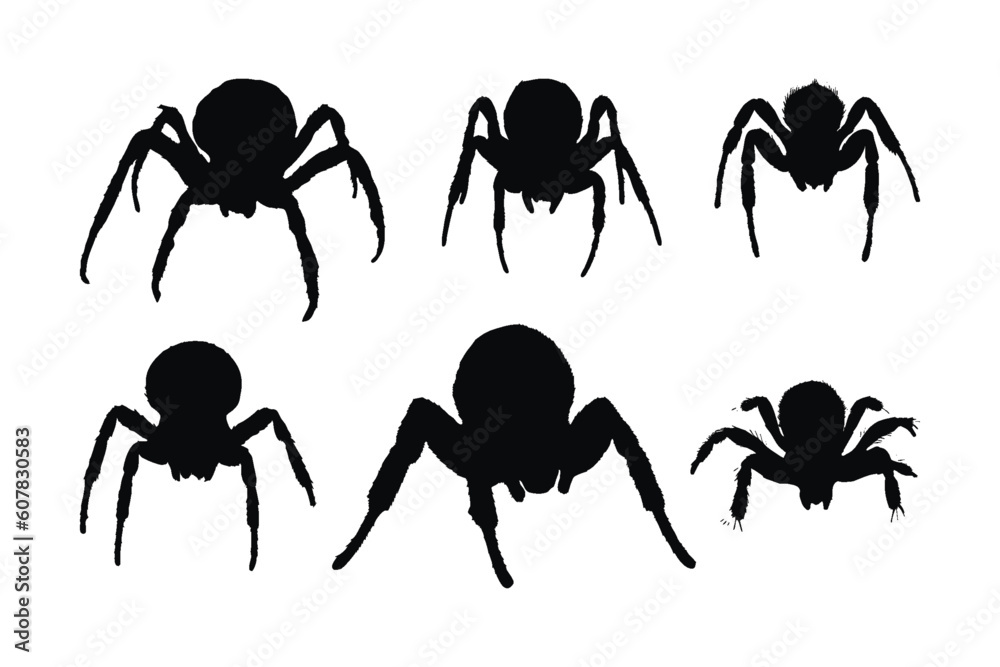 Furry spiders and insects sitting, silhouettes on a white background ...