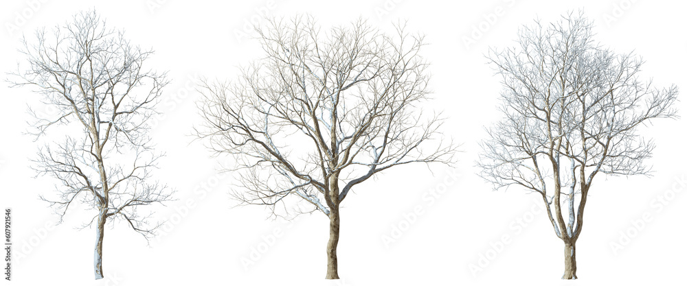Snow coverd trees wintertime for landscape 3d render png file Stock ...