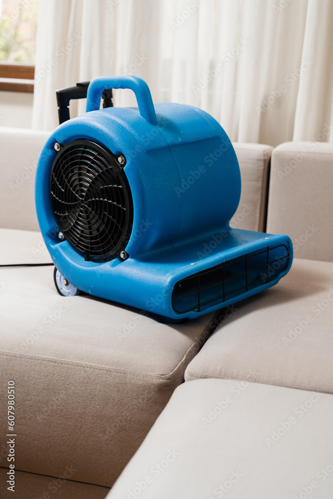 Floor dryer blower fan machine drying wet couch after dry cleaning of ...