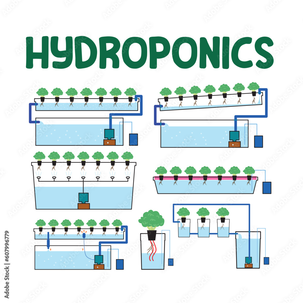 vector hydroponics system poster template Stock Vector | Adobe Stock