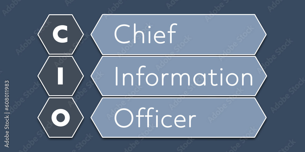 CIO Chief Information Officer. An Acronym Abbreviation of a term from ...