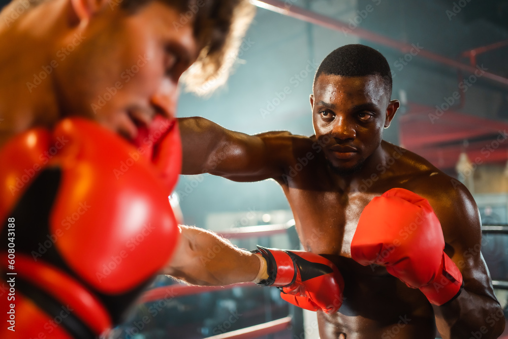 Professional Boxer Punching