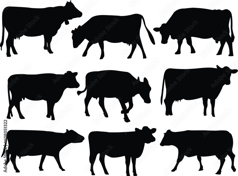 cow silhouette collection - vector Stock Vector | Adobe Stock cow silhouette collection - vector Stock Vector | Adobe Stock