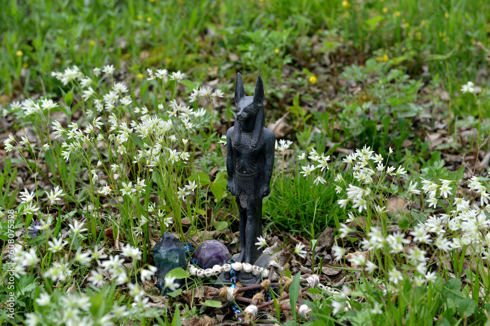 Witch ritual with Anubis god figurine in the garden. Occult, esoteric ...